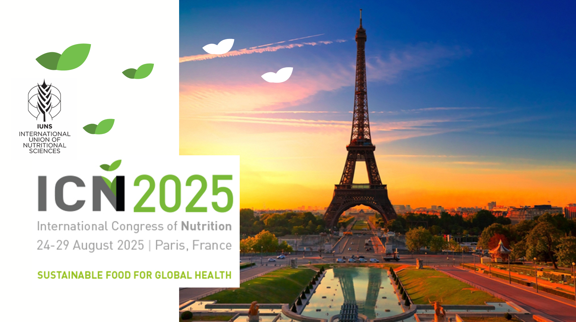 23° Congresso Internazionale di Nutrizione (ICN-IUNS 2025 ...